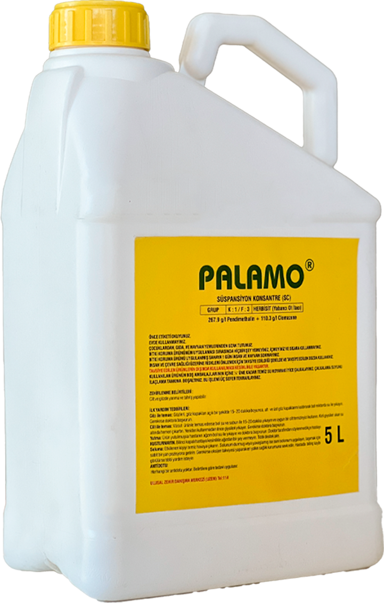 Palamo - ISB Globe